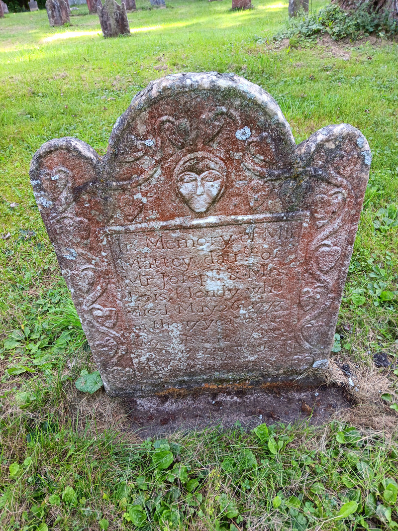 Buy D/2 Biological Solution direct from D2BioShop.com – D/2 Bio Shop